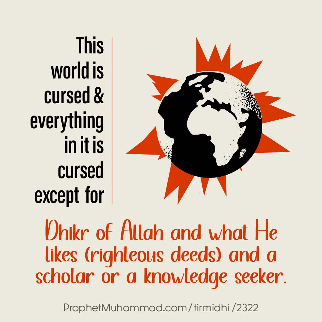 This world... | Islamic Reminders